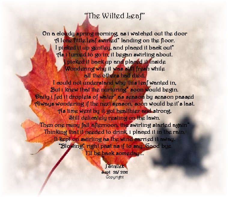 Love, Friendship, Heartache & Death -J. Strelek Poetry: The Wilted Leaf