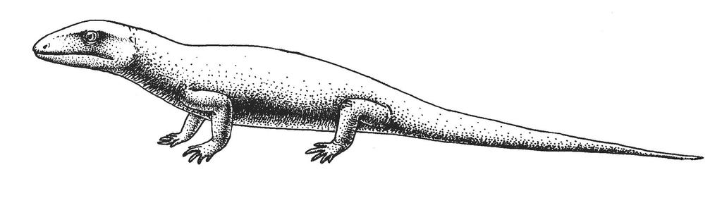 Blog de la Vida Prehistórica: Paleothyris