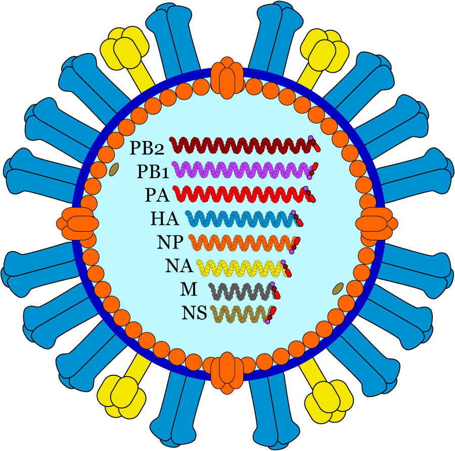 VDU's blog: February 2015
