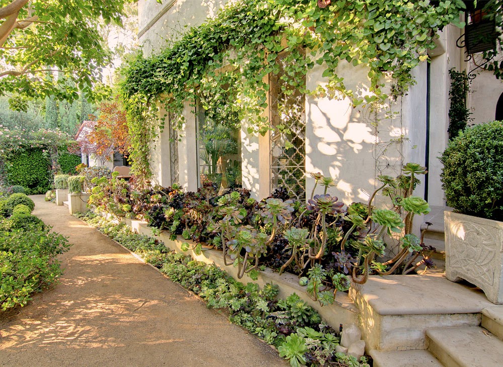 the garden: Art Luna Garden