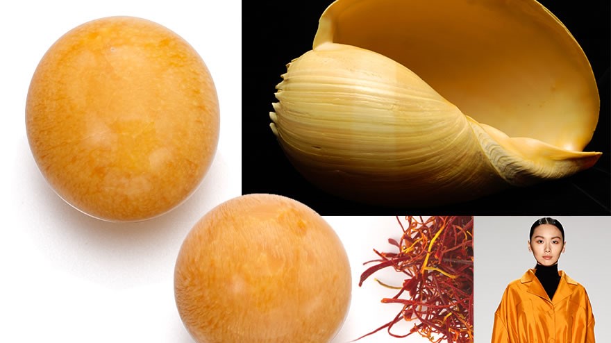 Apa Itu Mutiara Melo? Apa Yang Menjadikan Mutiara Ini Sangat Berharga ...