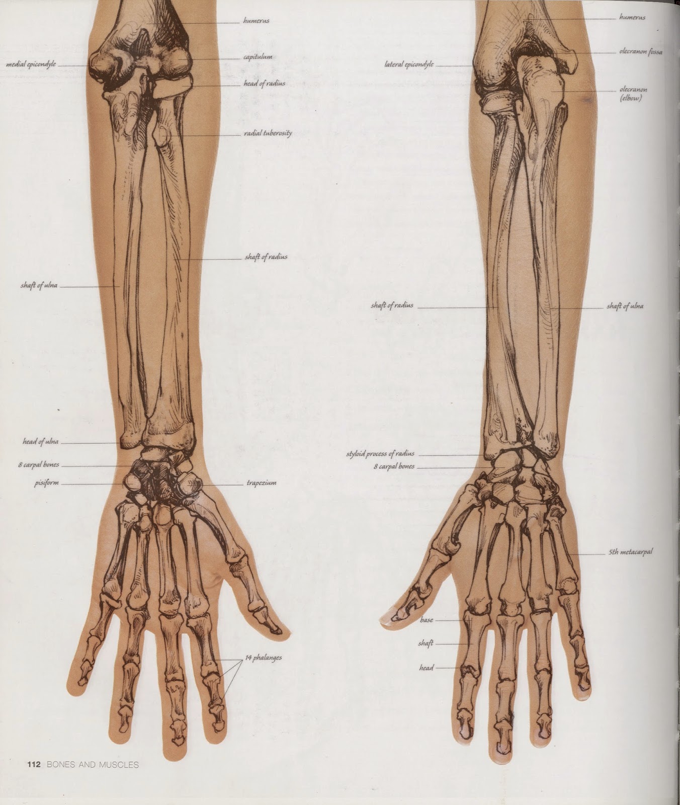 Zachęcam do rysowania: lutego 2015
