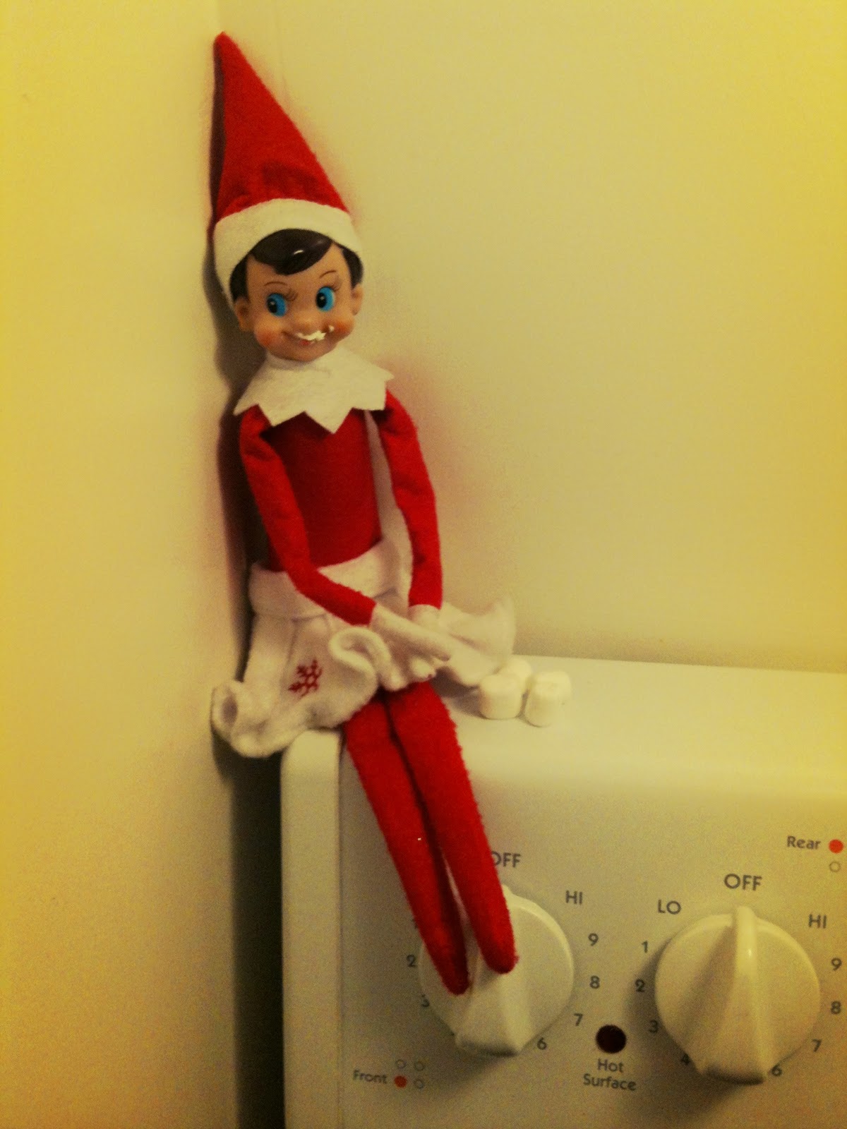 The Tale of Olivia's 65 Roses.: The Adventures of Miss Elf