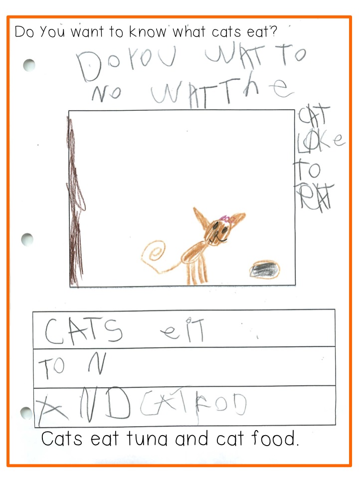 Joyful Learning In KC: Animal Research Writing