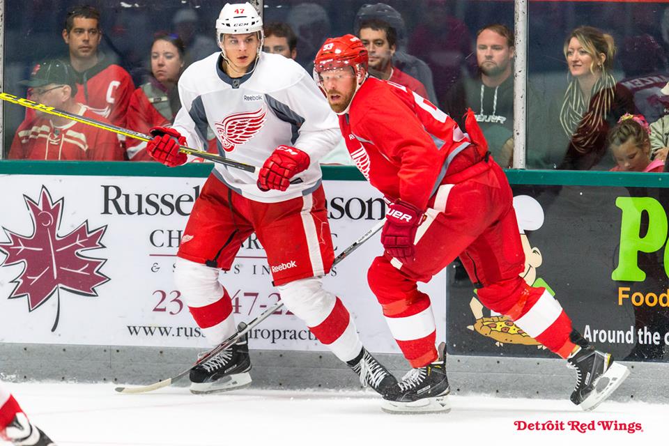 Red Wings Grinder: Training Camp Day 3 - recap. Red vs White rosters.