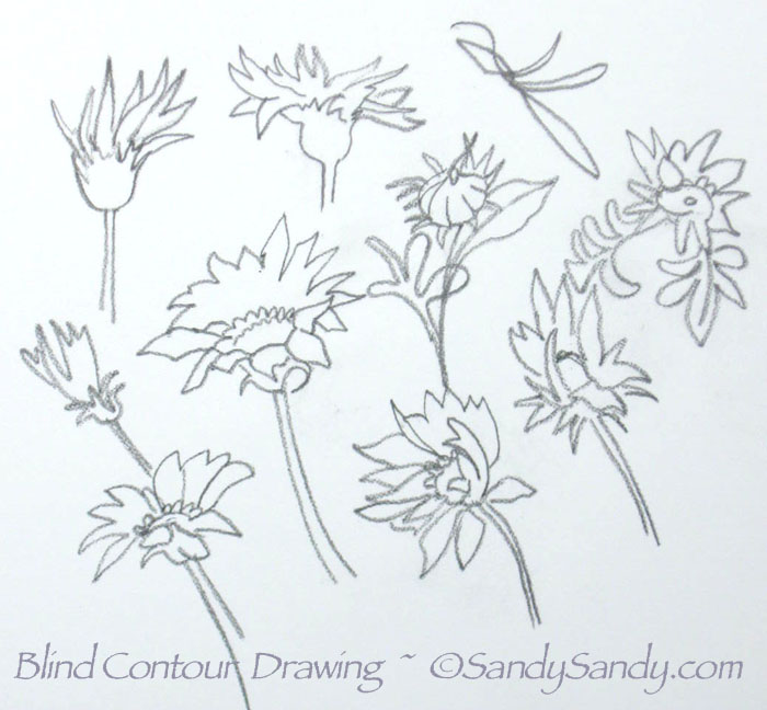 *Sketching Every Day*: Blind Contour Flower Drawings