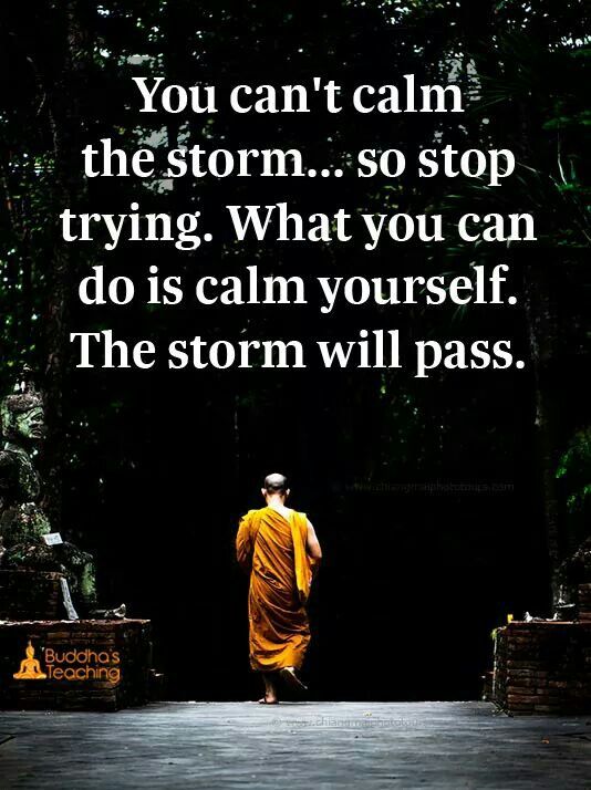 Zen Steps For Calming Down Easily