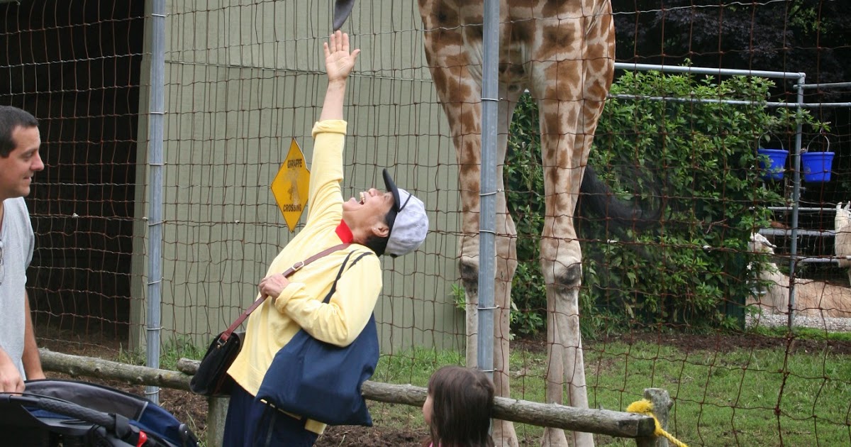 mommy bytes: Wordless Wednesday - Giraffes and Llamas