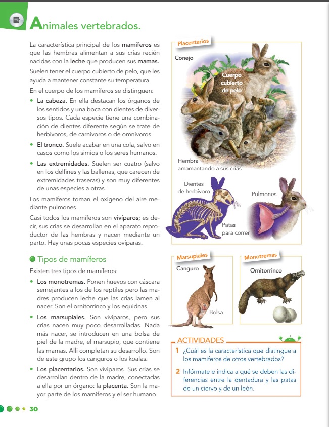 CUARTO EN CLASE: JUEVES 21 DE MAYO