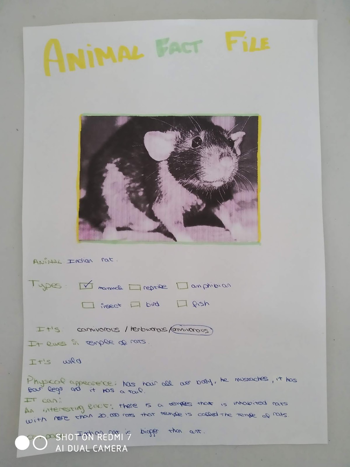The English T-shirt: ANIMAL FACT FILES. MADE BY STUDENTS OF 1st ESO E