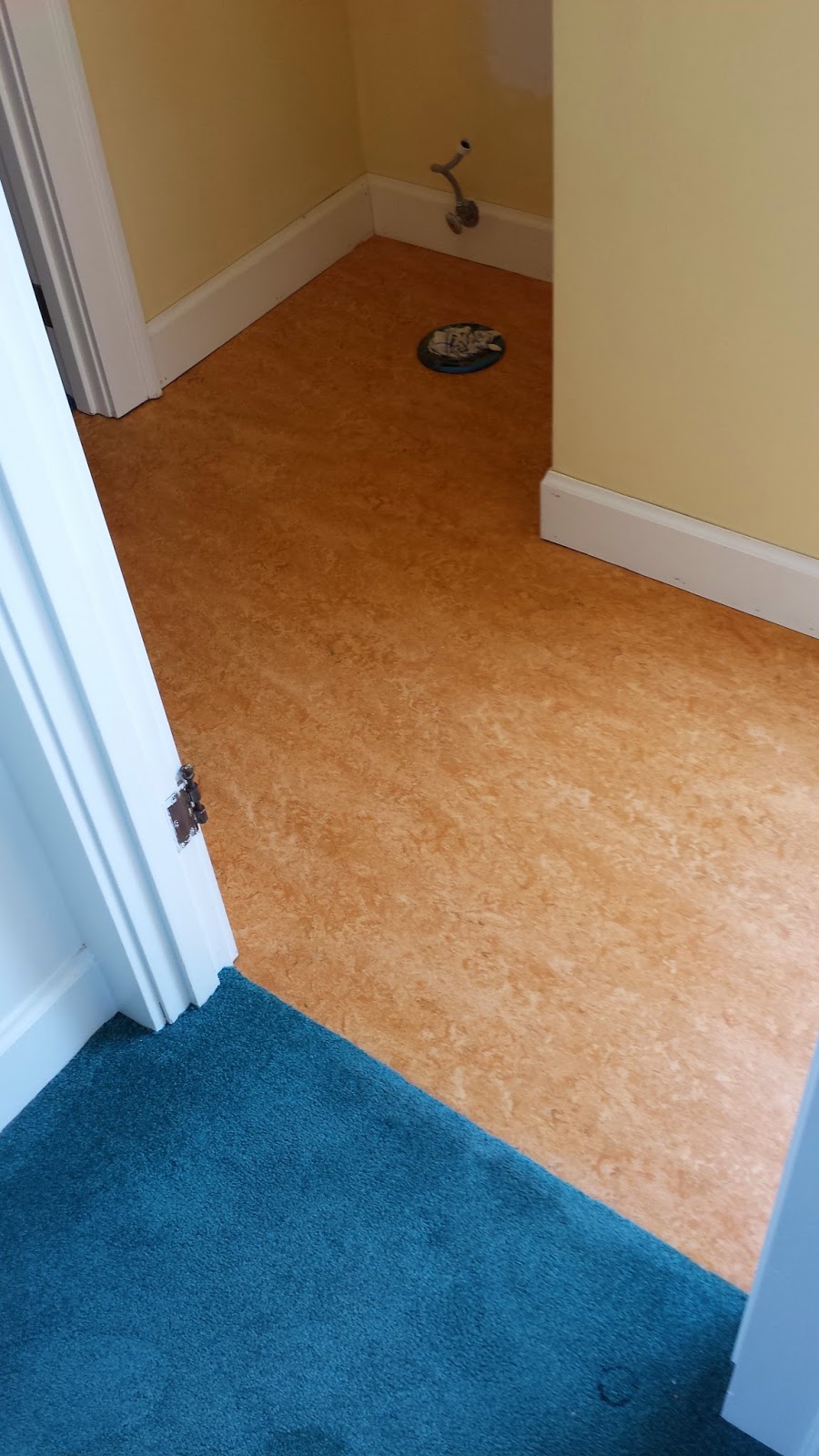 One Step Further: Kitchen Installed with Marmoleum Real, Marigold #3226