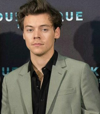 Harry Styles Biography, Body Statistics, Facts