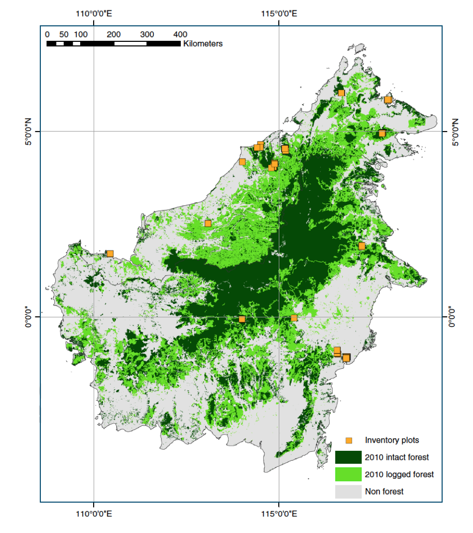 Climate In Borneo | The American Mastermind