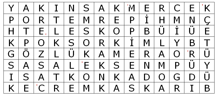 MERCEKLER ve KULLANIM ALANLARI: BULMACALAR