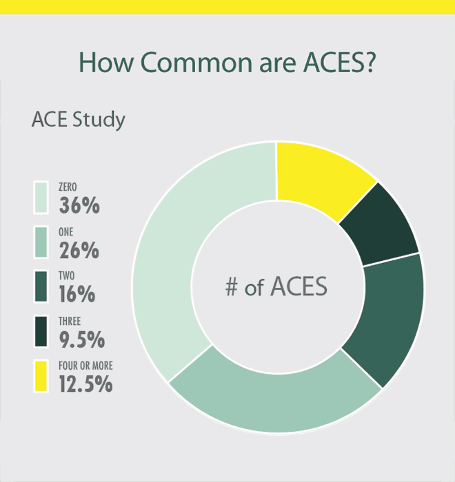 Common Causes of ACEs Seen in Schools