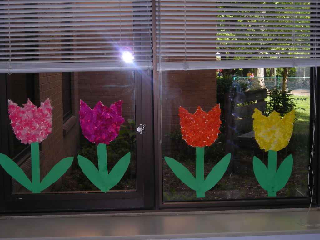 Classroom Companion: Tulips in Bloom!