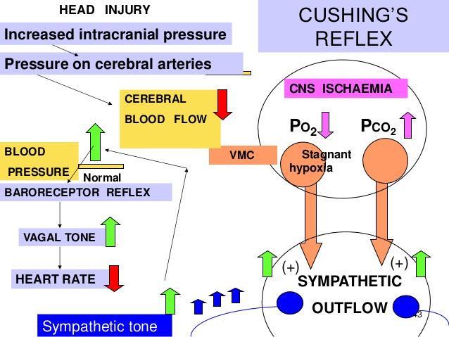 Cushing's Triad - Pathophysiology
