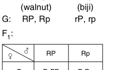 Buatlah diagram persilangan dan tetapkan perbandingan fenotipe dari ...