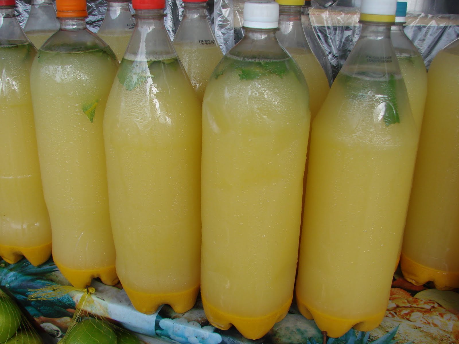 OS DESENTOCADOS & GOURMETIDOS: TUCUPI...a lenda