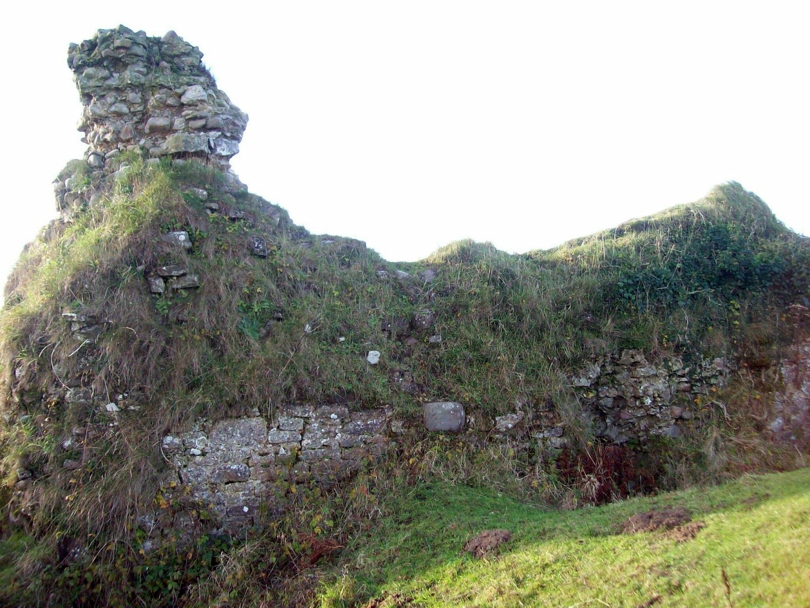 Random Daily Walks: Kenfig Burrows
