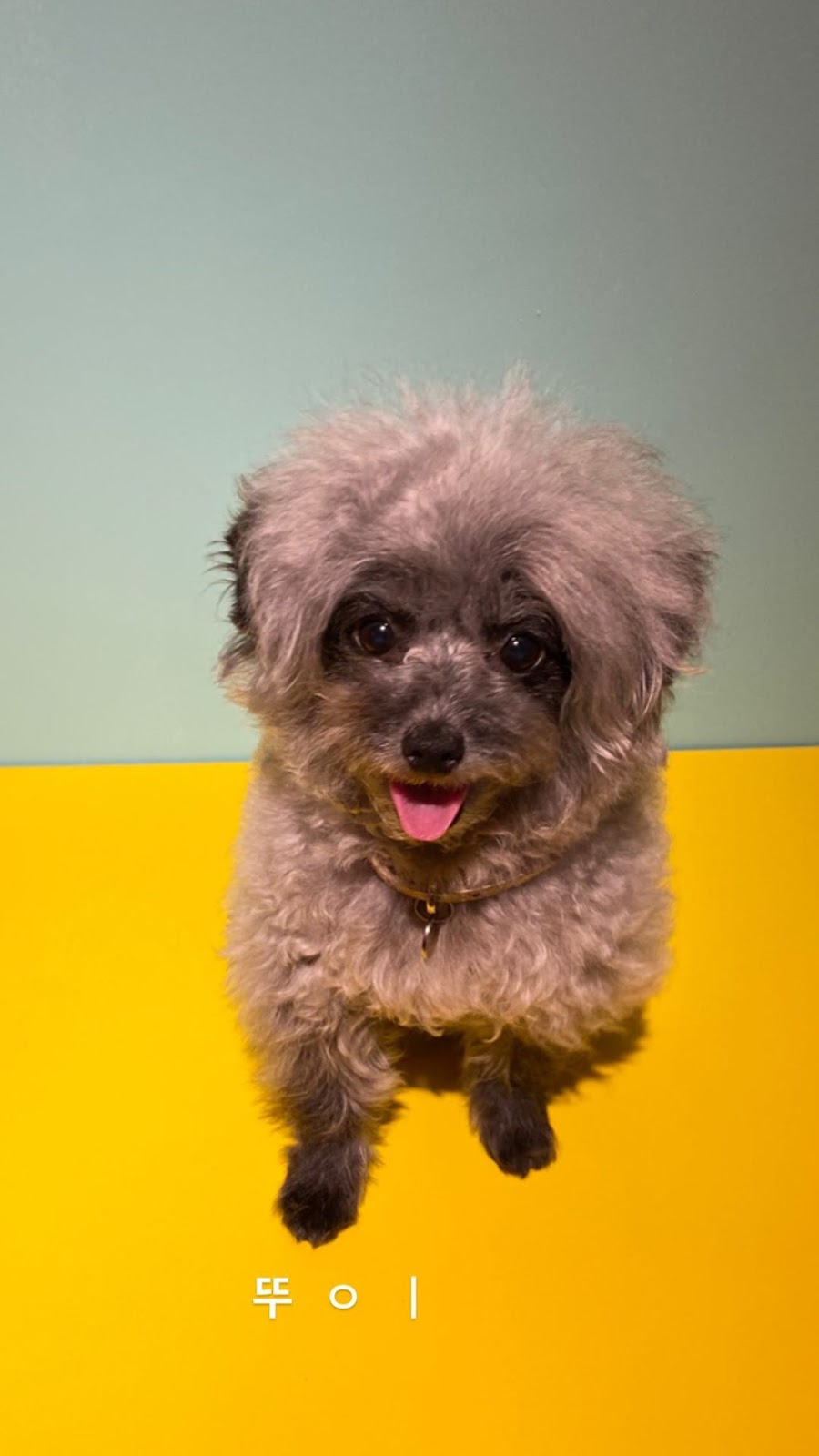 Its bonding time for SNSD Yuri and Dooe! - Wonderful Generation