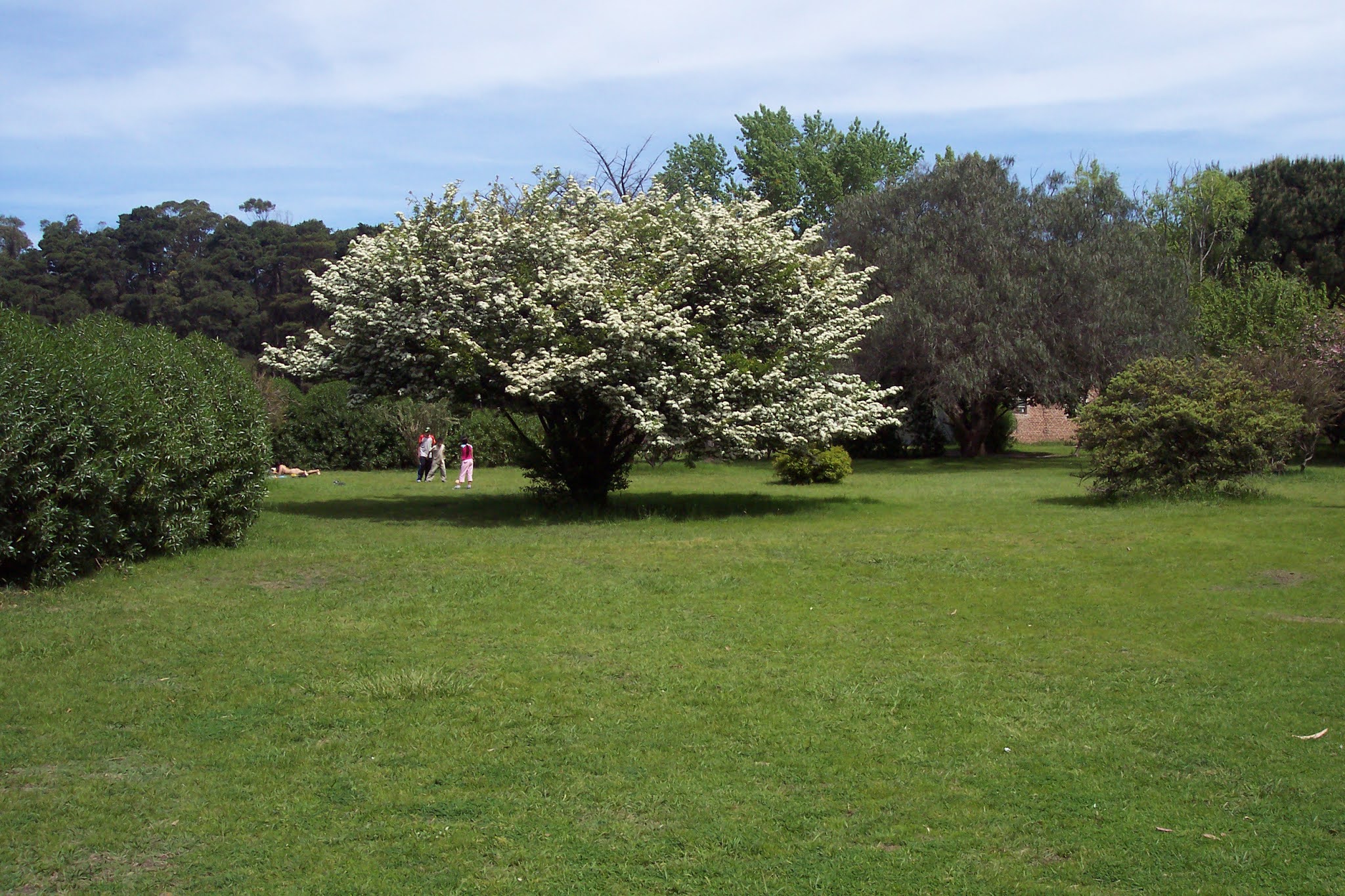 Conociendo el Parque Miguel Lillo de Necochea - Noti Turismo