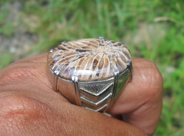 Lapak Batu Antik ( LBA ): AK205- SOLD- Batu Akik Motif Sisik Ular ...