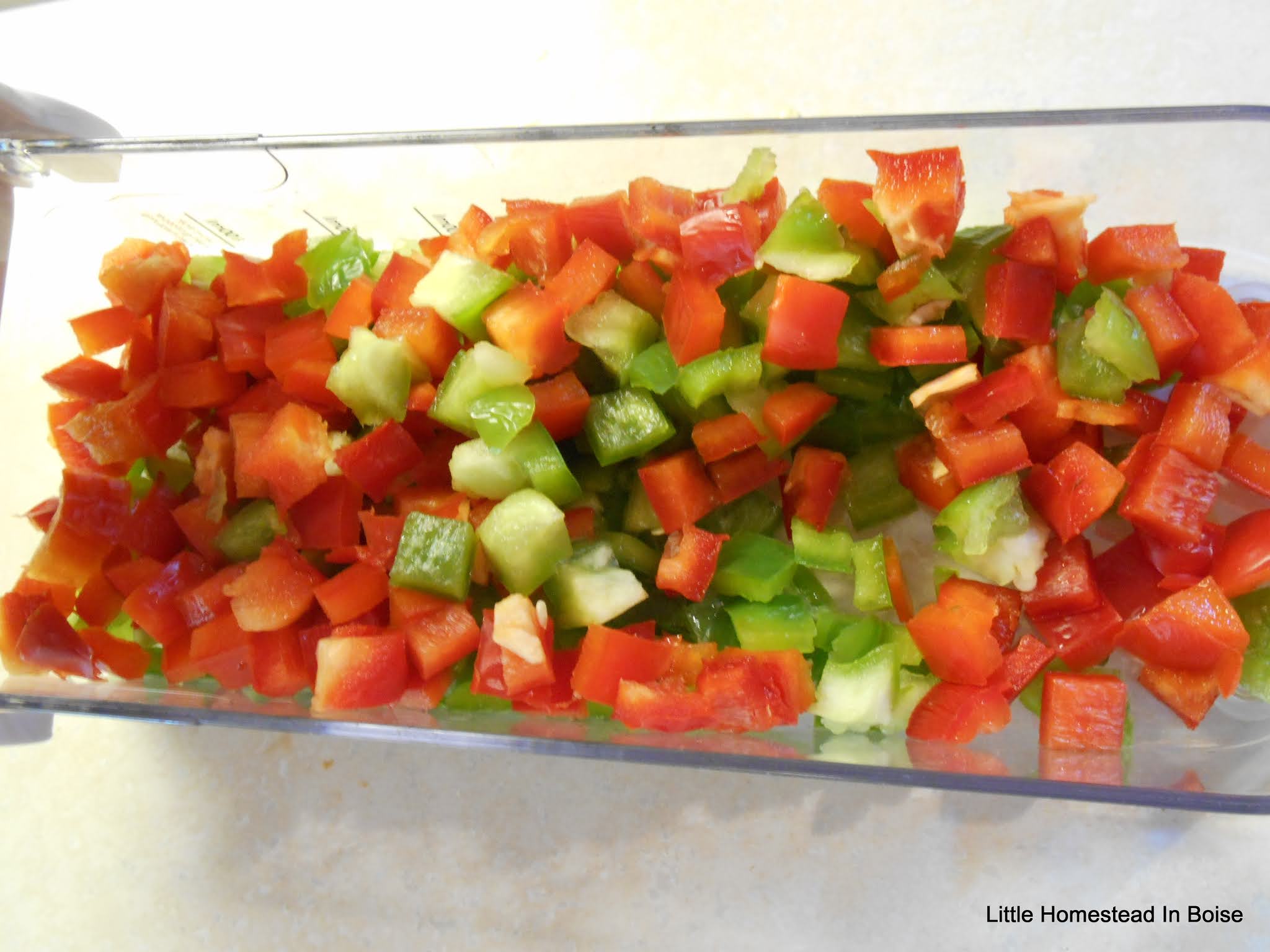 Little Homestead In Boise : Day Trip, Drying Squash, Review Vidalia ...