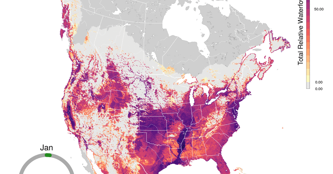 Maps Mania: The Migratory Patterns of Birds