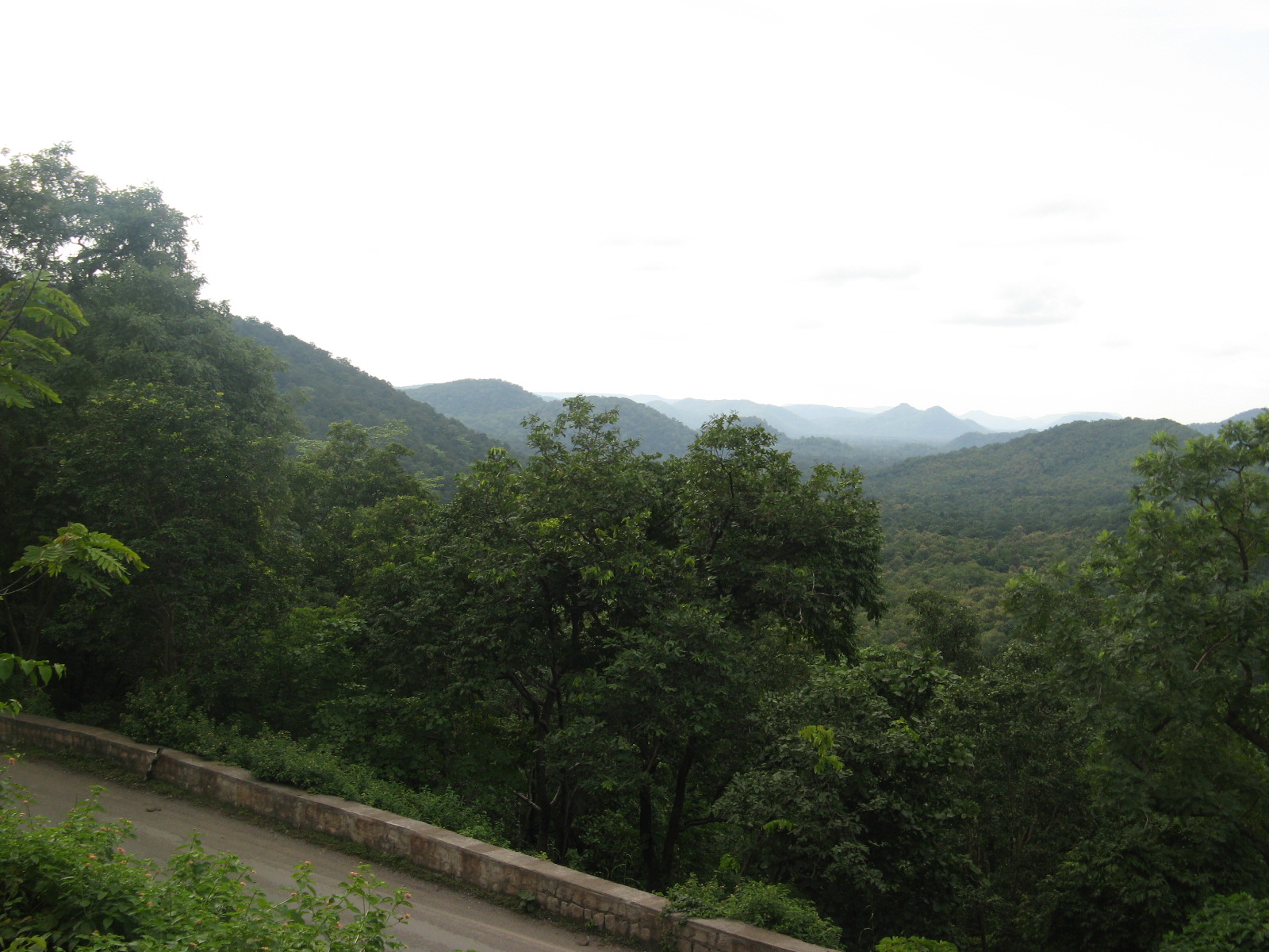 Travel, arts and entertainment: Raipur to Kondagaon