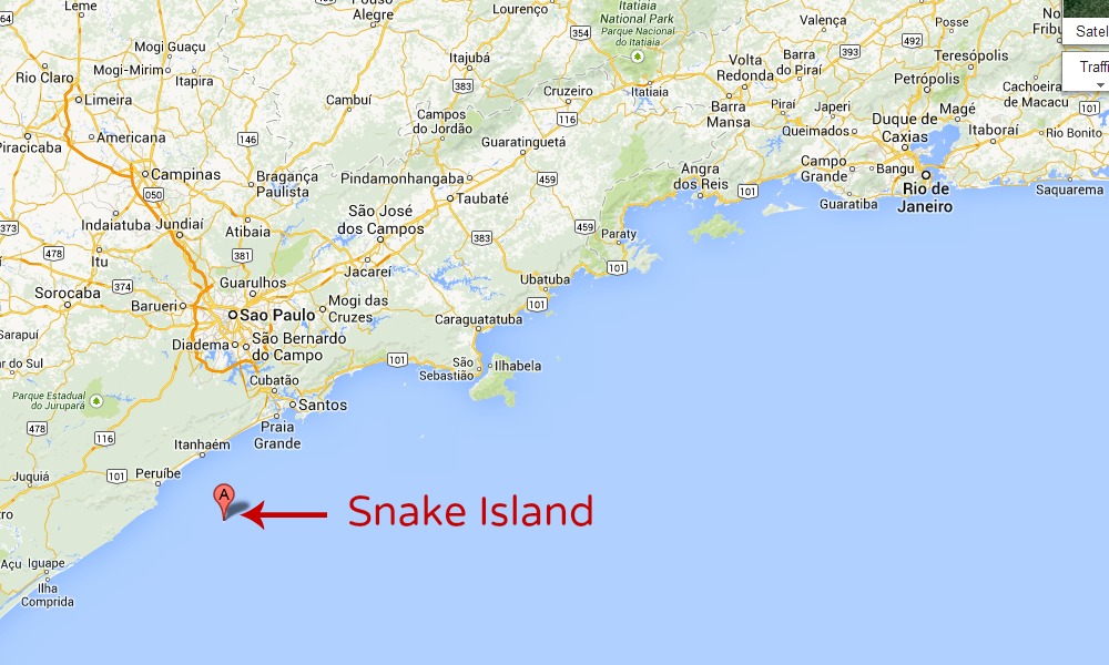 Conheça a Ilha das Cobras!Lar da serpente mais venenosa do Mundo ...