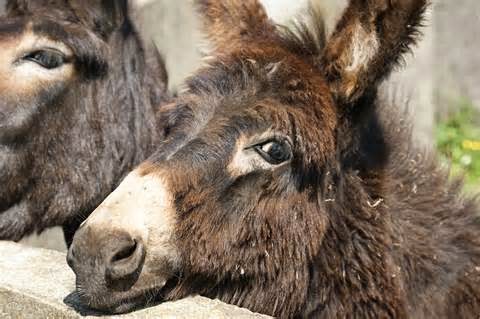 Autism Experience: A Spelling Bee