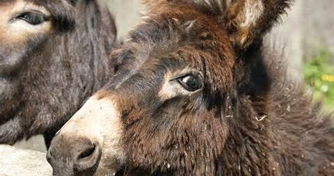 Autism Experience: A Spelling Bee