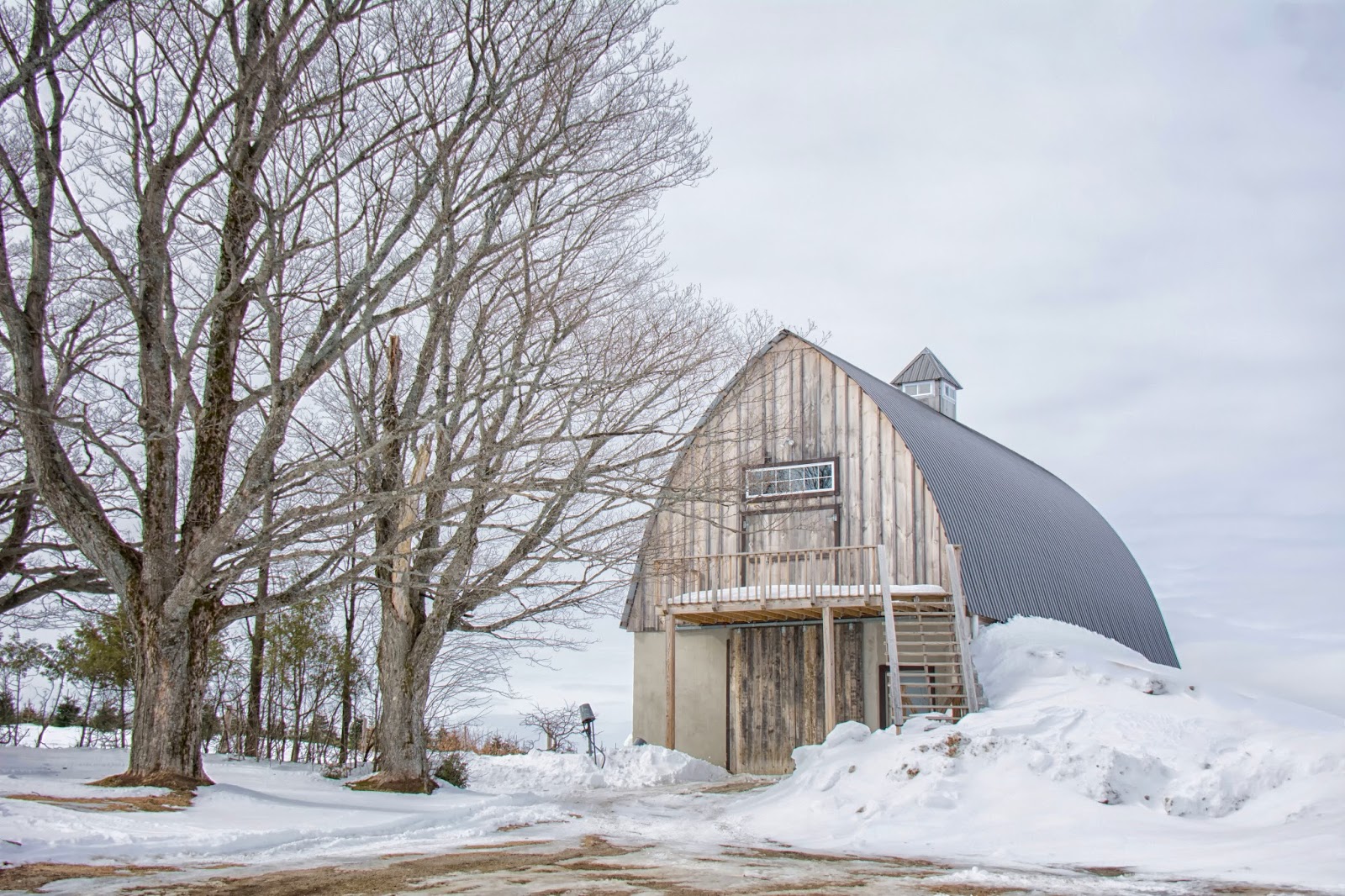 Carol's View Of New England: Windswept Farm Barton VT