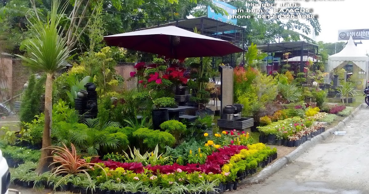 21+ Bunga Melati Hiasan Di Taman Pengantin