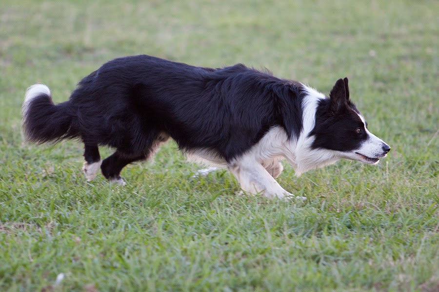 Sé tu mejor versión: marzo 2014