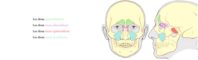 Comment soigner une sinusite ~ Nos Conseils de Vie