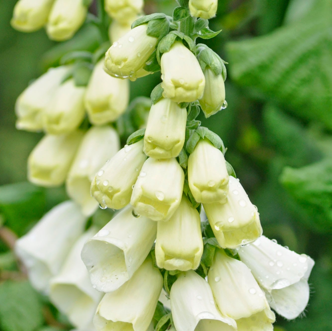 Friskare liv: KROPP OCH SJÄL