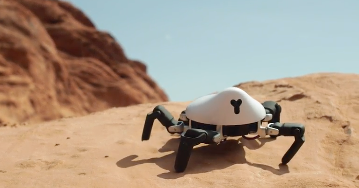 Humpday Must Watch - Super Creepy Open Source Insect Robot