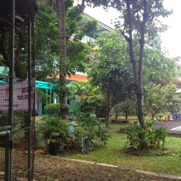 SMA Negeri 34 Jakarta | What Student Do