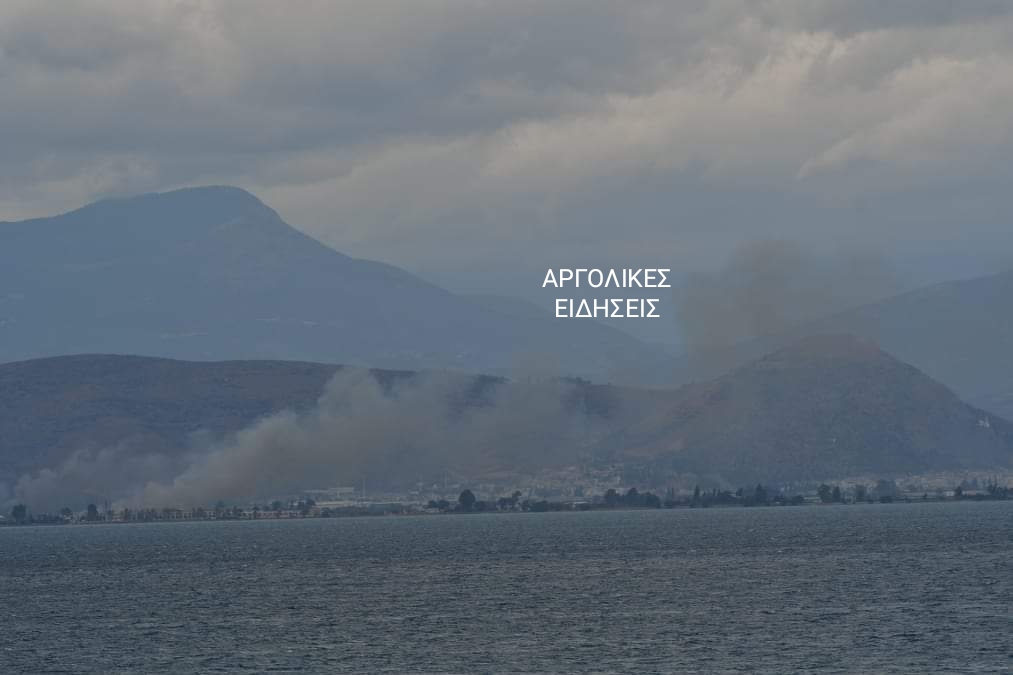 Πυρκαγιά εκδηλώθηκε στη Νέα Κίο Αργολίδας - Αργολικές Ειδήσεις