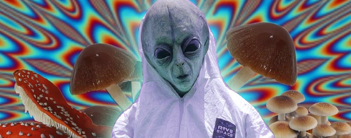 "Hongos magicos" cómo consumirlos 🍄