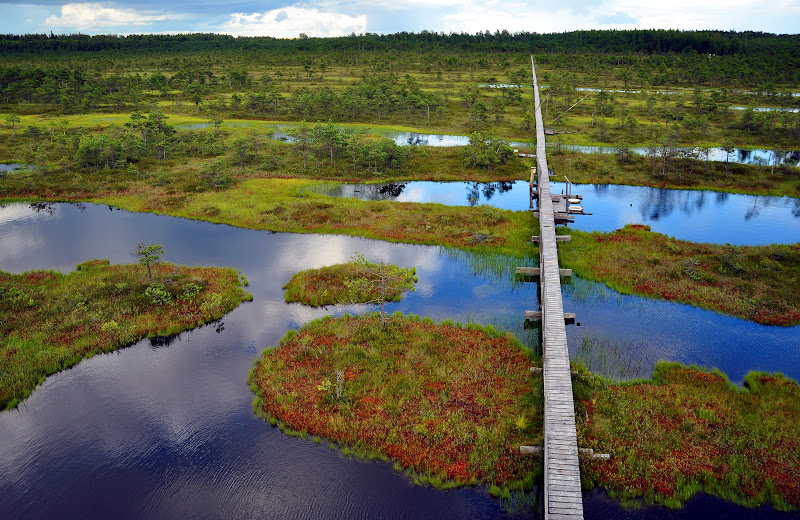 Mia maailm: Endla raba taustal