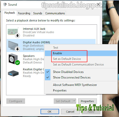 Cara Menggunakan Optical (S/PDIF) Port di Windows 10/11 ...