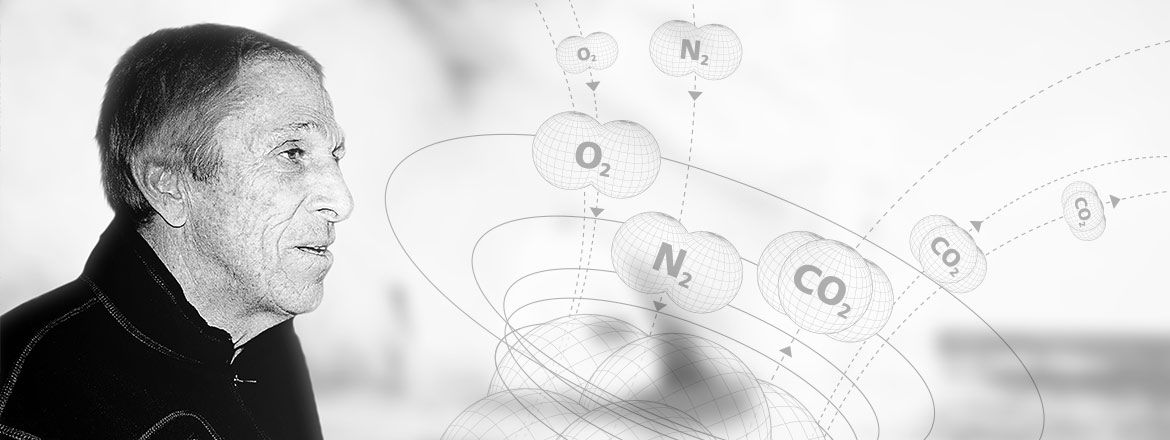 Viviendo a Pesar de la Crisis: Algoritmo RGBM (Reduced Gradient Bubble ...