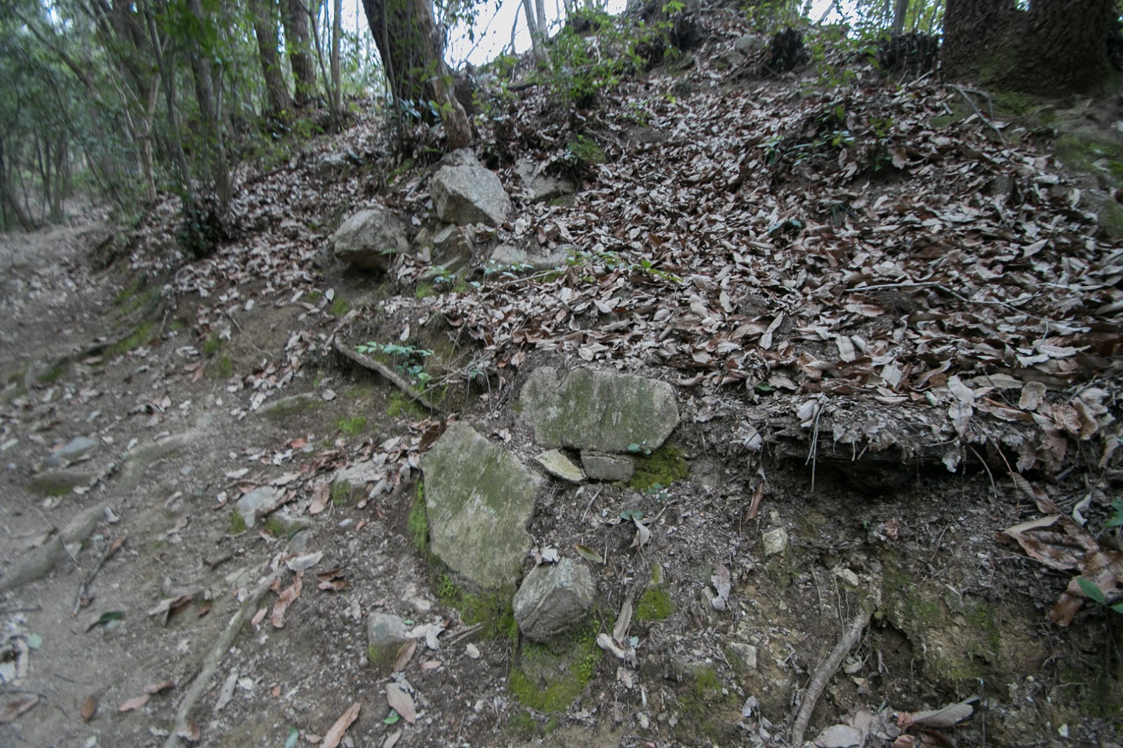 Niitakayama Castle -Intellectual pillar of Mouri clan (2)- | Japan ...