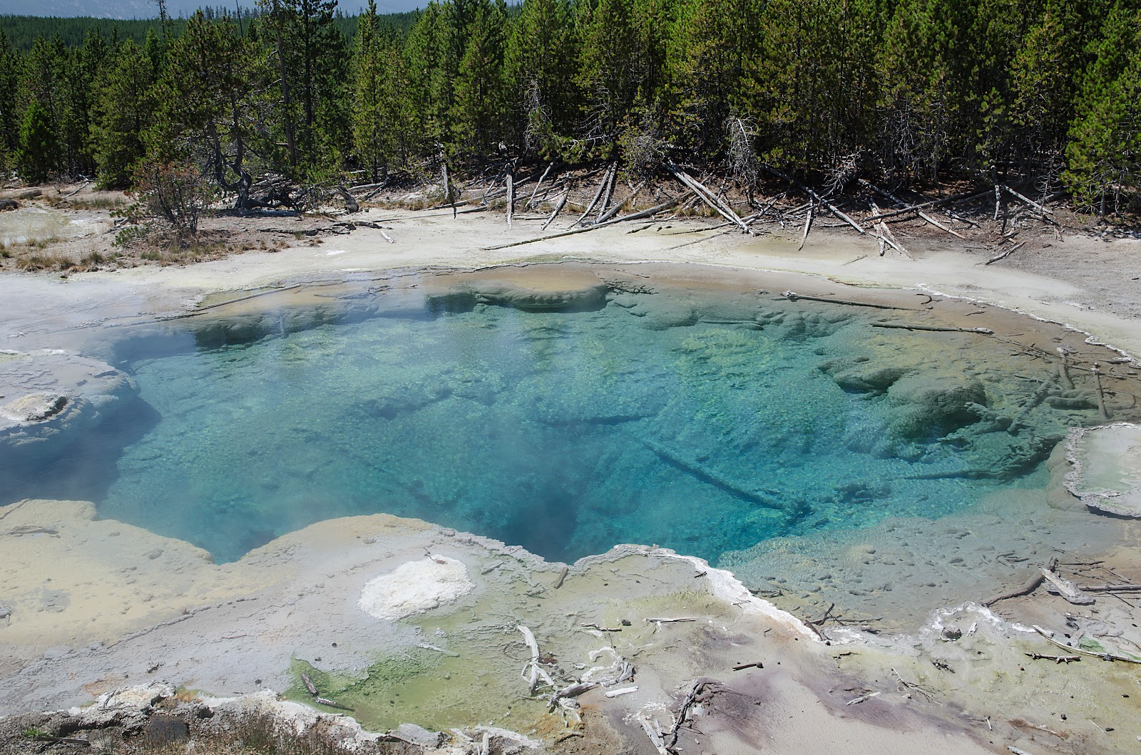 Я і моє життя: Національний парк "Єллоустон" (Yellowstone National Park)