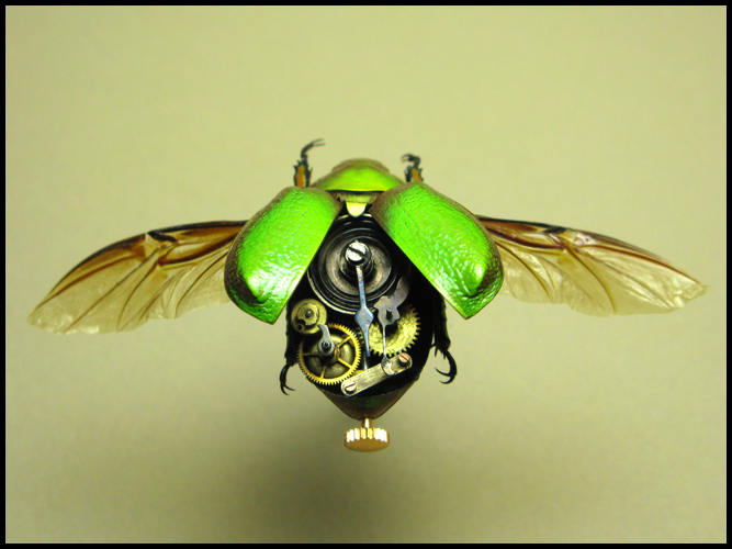 Devious Little Things