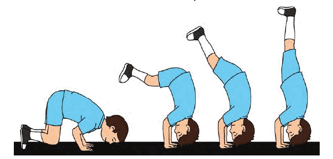 Kombinasi Gerakan Headstand dan Handstand | EdukasiCenter - Edukasi Center