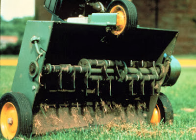 Xtremehorticulture of the Desert: Dethatch Bermudagrass Just Before ...